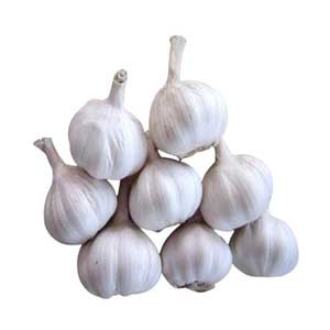 Roshun (Garlic Imported)- Send gift to Bangladesh - Deshigreetings.com