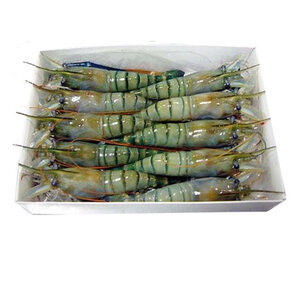 Chingri Fish (medium) - Send gift to Bangladesh - Deshigreetings.com